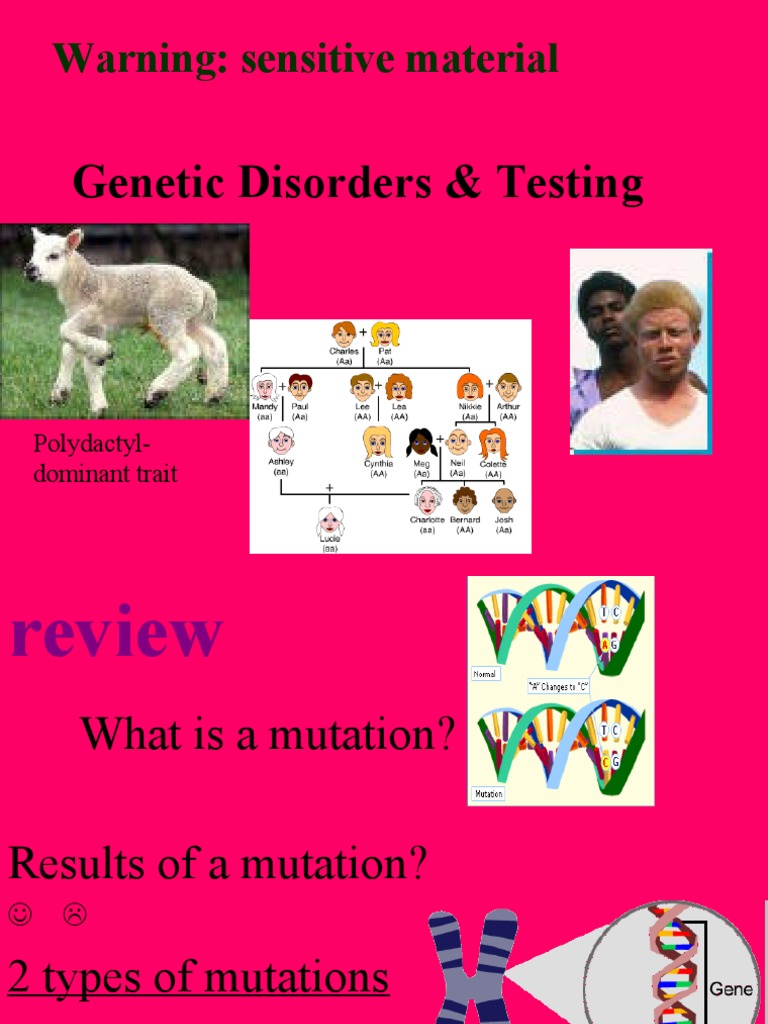 Mutations & Genetic Disorders | PDF | Genetic Disorder | Dominance ...