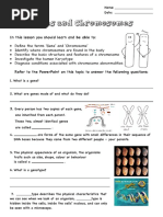Dichotomous Key Practice Worksheets | PDF | Foreign Language Studies