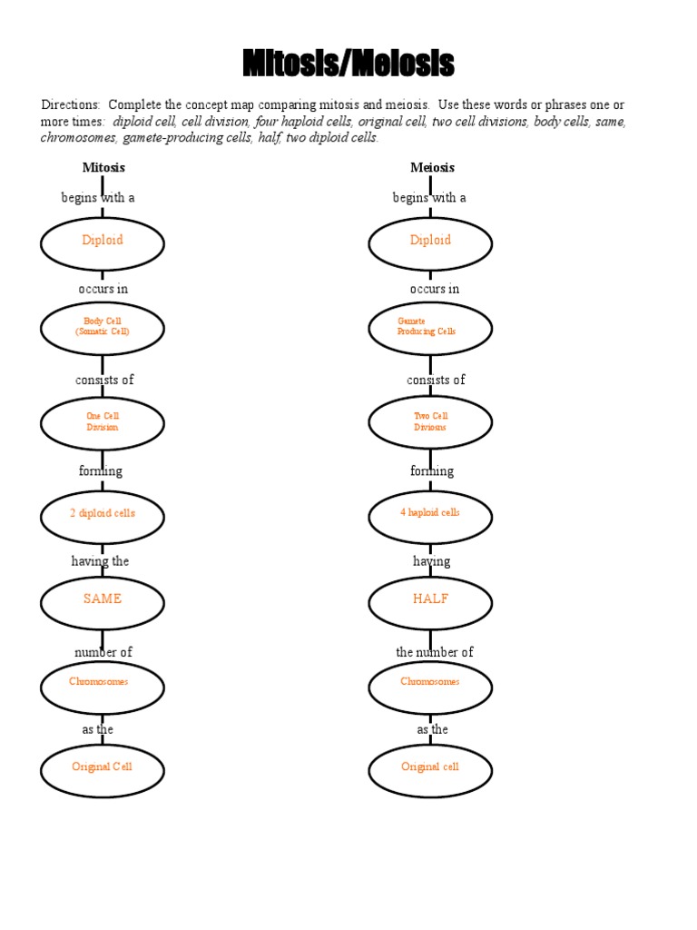 Chromosome Number Worksheet Meiosis Mitosis | Download Free PDF ...