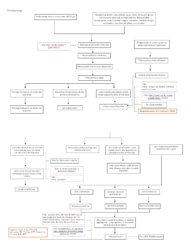 24174973-pathophysiology-NSAID-induced-UGIB-gouty-arthritis-and-gouty ...