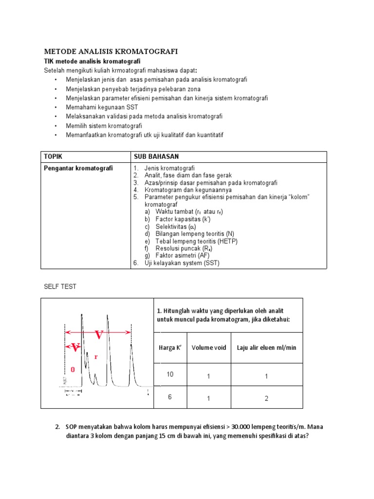 Analisis Kromatografi dan Lempeng Teoritis | PDF