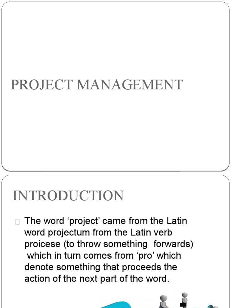 OPR 508 Project MGN 1 | PDF | Project Management | Business