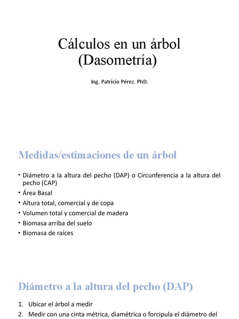 Cálculos en Un Árbol (Dasometría) | Descargar gratis PDF | Arboles ...