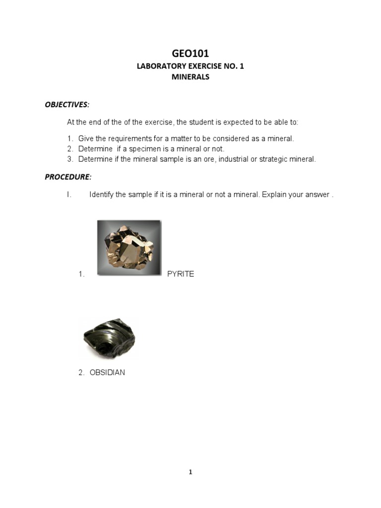 Laboratory Exercise 1 | PDF