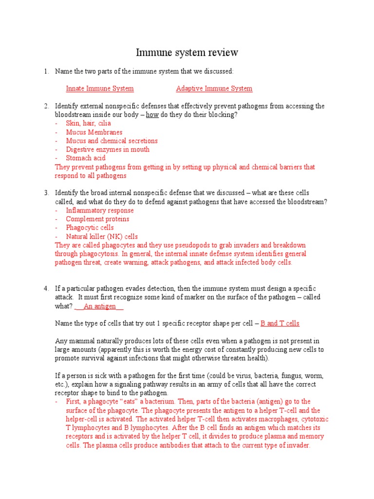 Immune System Review Questions | PDF | Phagocyte | Immune System