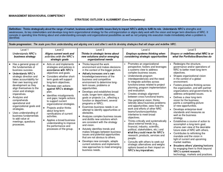 MG Strategic Outlook | PDF | Strategic Management | Goal