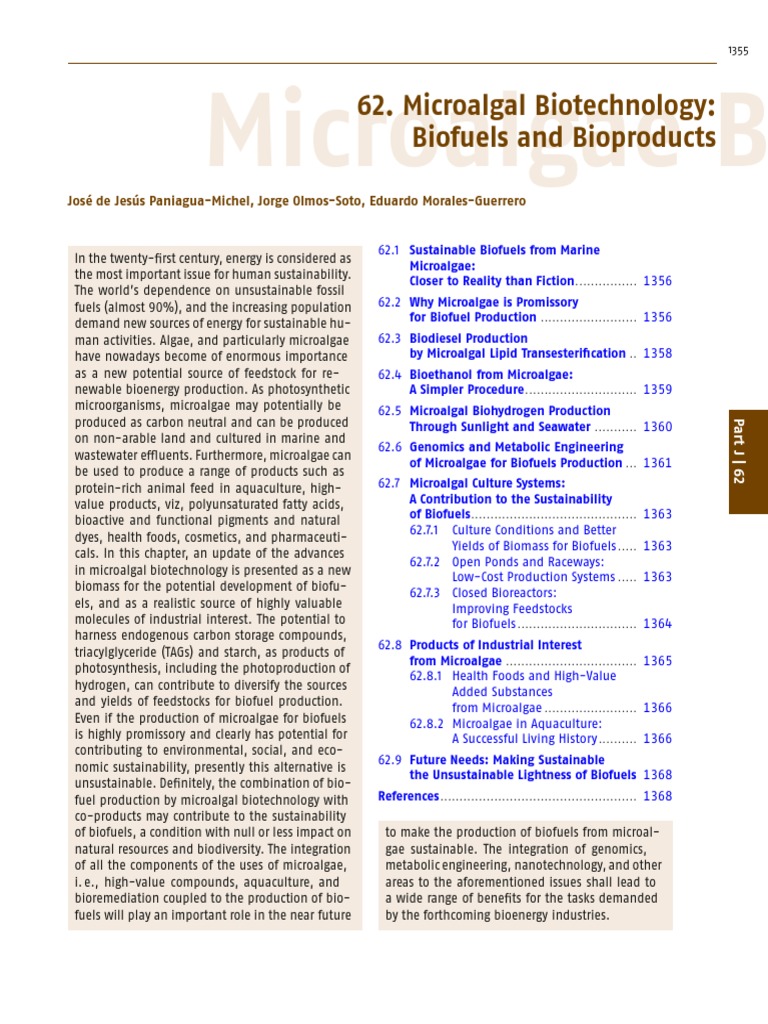 LECTURE 11-Microalgal Biotechnology-Biofuels N Bioproducts | PDF ...