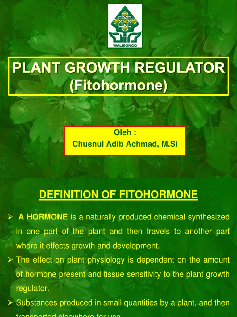 Bab 6 FITOHORMONE | PDF | Auxin | Plant Hormone