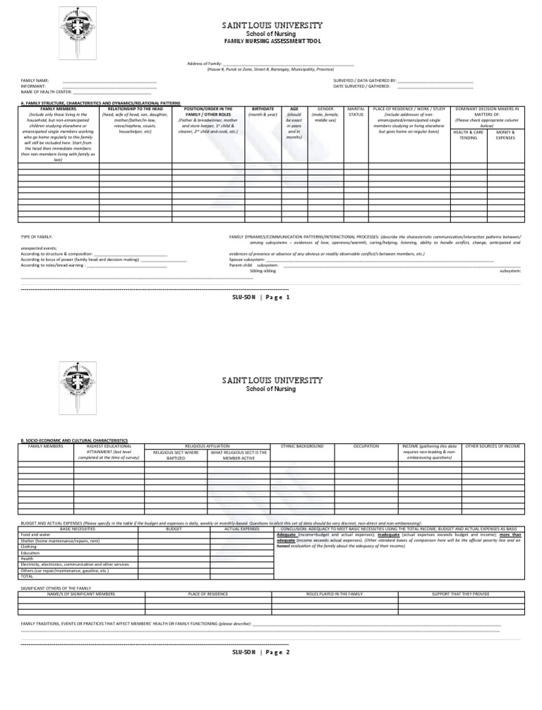 Family Nursing Assessment Guide | PDF | Family