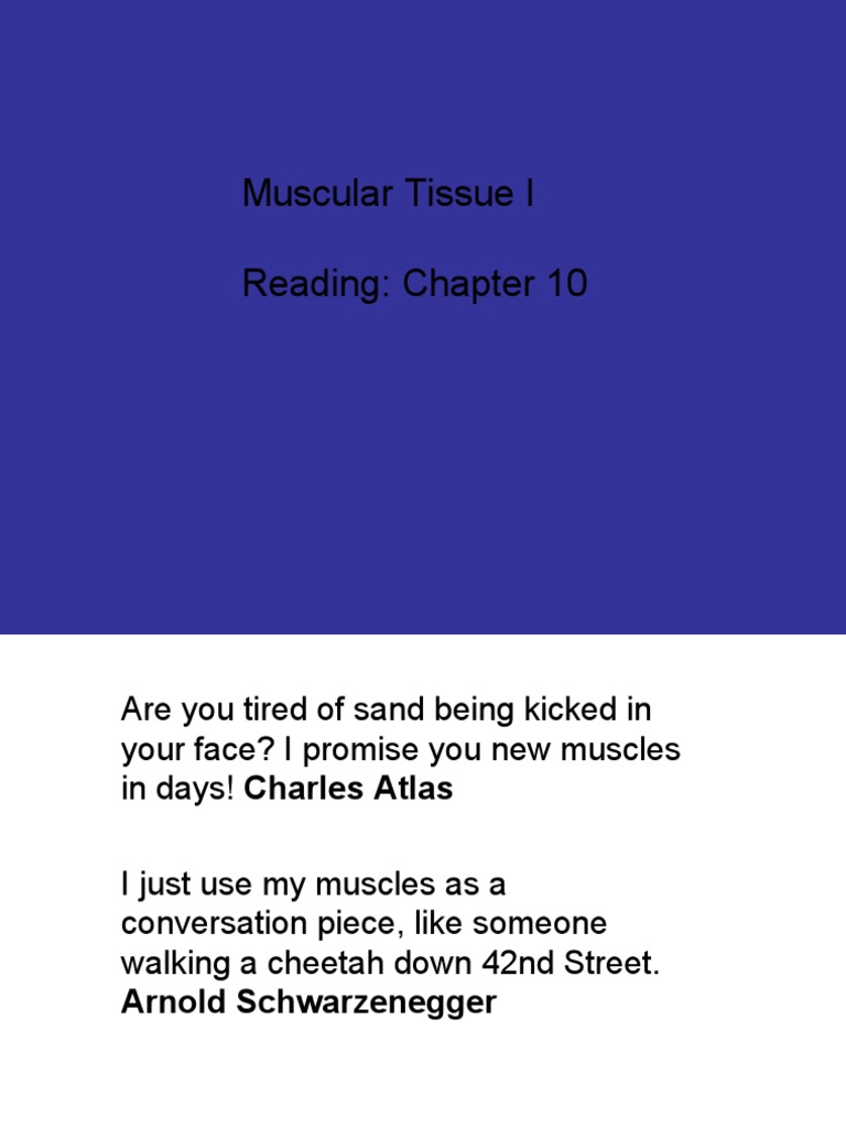 Muscular Tissue I Reading: Chapter 10 | PDF | Muscle Contraction ...