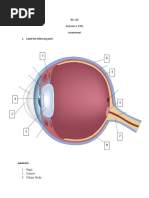 Eye Examination OSCE Checklist Geeky Medics | PDF