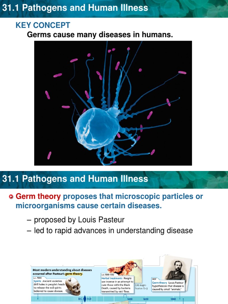Germs Cause Many Diseases in Humans.: Key Concept | PDF | Virus | Pathogen