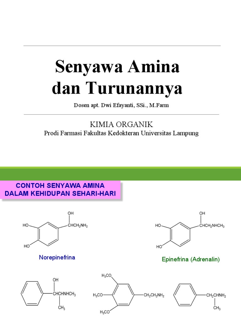 Senyawa Amina Dan Turunannya PDF | PDF