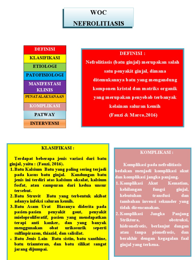 Woc Nefrolitiasis | PDF