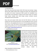 Hama Penyakit Tanaman Terong | PDF
