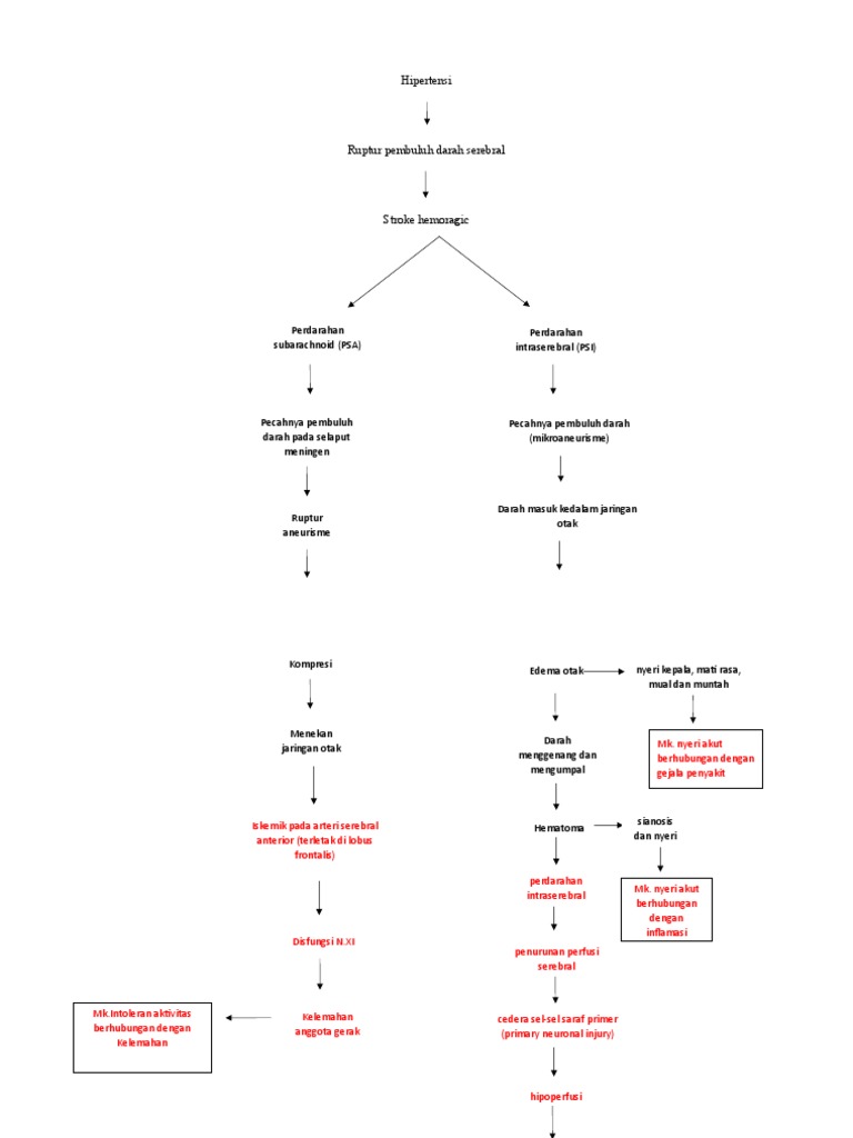 Patoflow Stroke | PDF