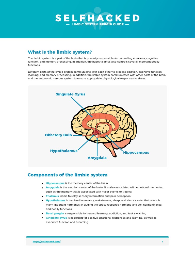 Limbic System Repair Guide | PDF | Limbic System | Posttraumatic Stress ...
