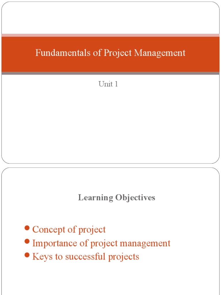 Project Management Fundamentals Guide | PDF | Project Management | Business