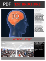 IQ Test | PDF