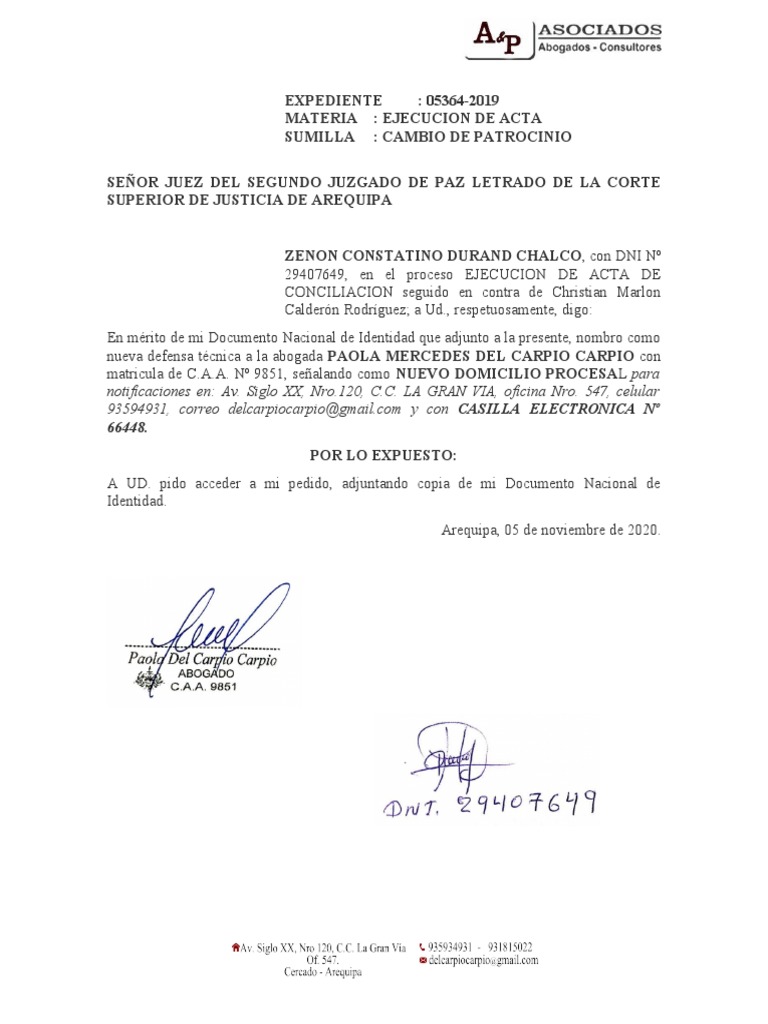 Cambio de Patrocinio | PDF