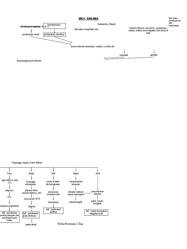 Woc Anemia PDF | PDF
