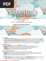 Region Geniana | PDF | Cabeza y cuello humanos | Anatomía humana