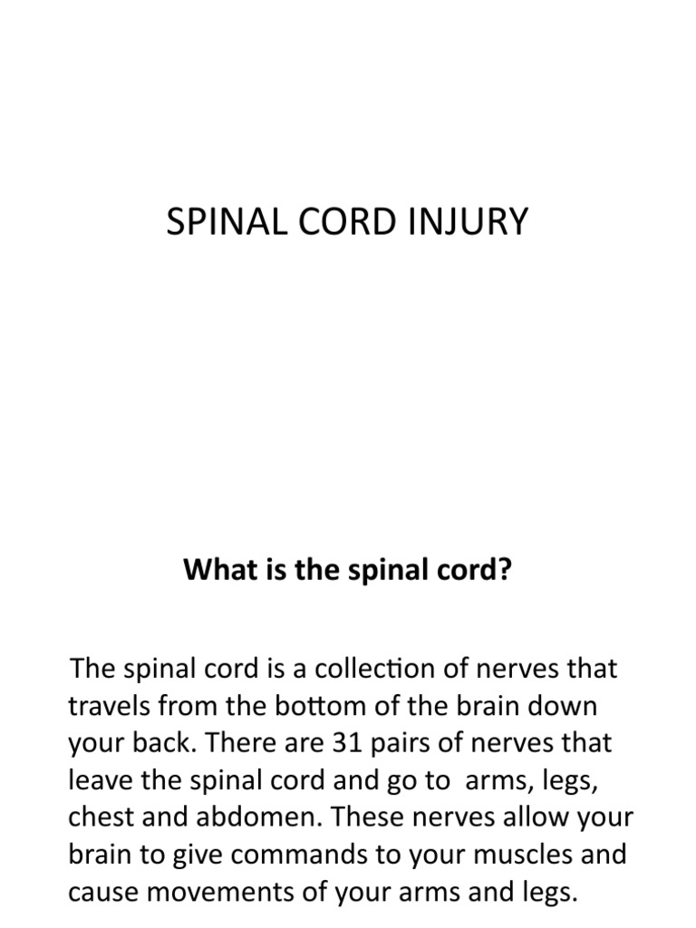 An In-Depth Look at Spinal Cord Injuries: Causes, Symptoms, Diagnosis ...