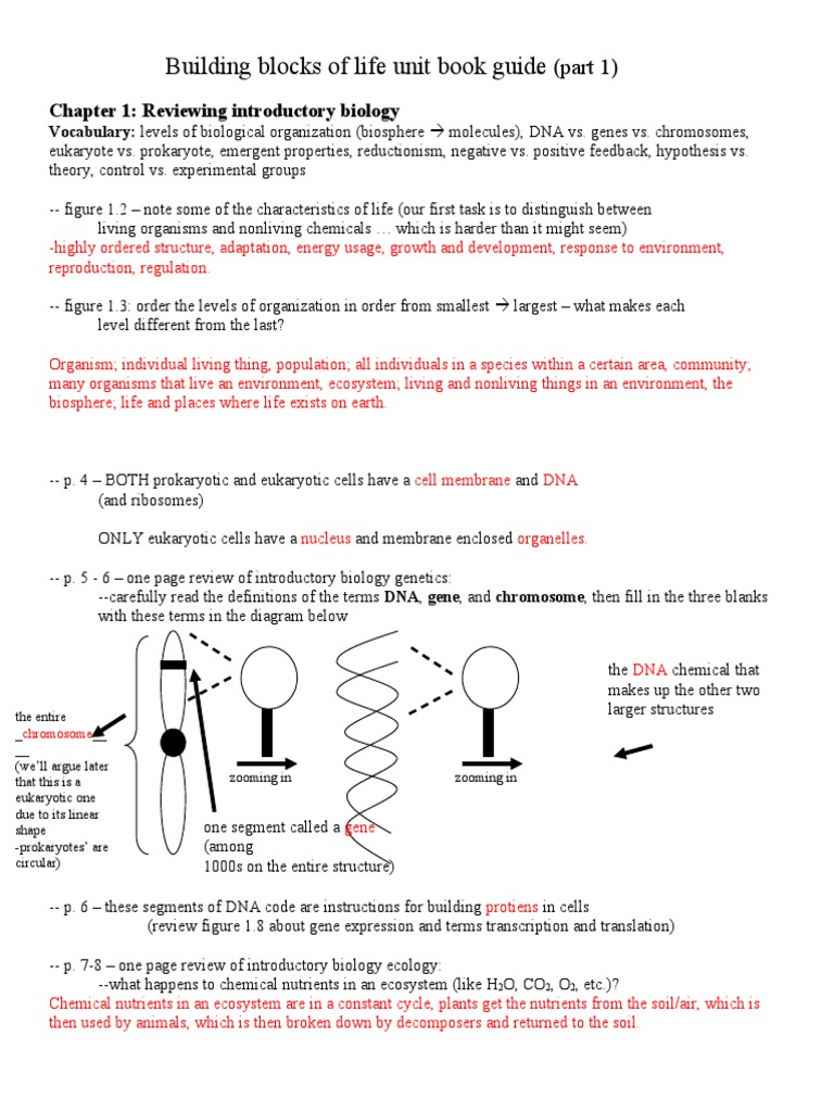 Building Blocks of Life Unit Book Guide: Chapter 1: Reviewing ...