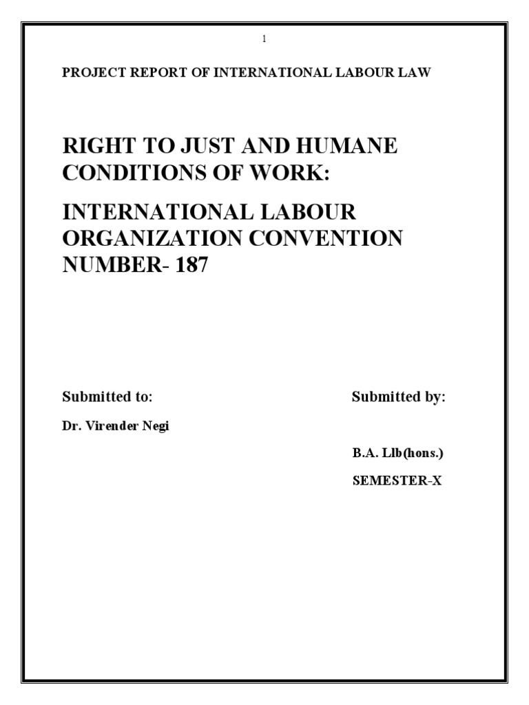 Right To Just and Humane Conditions of Work | PDF | International ...