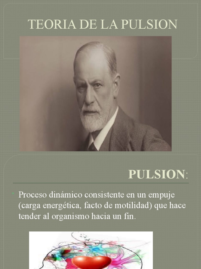 Teoria de La Pulsion | PDF