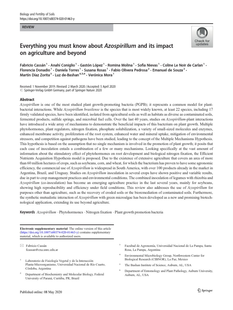 Azospirillum's Role in Agriculture | PDF | Plant Hormone | Root
