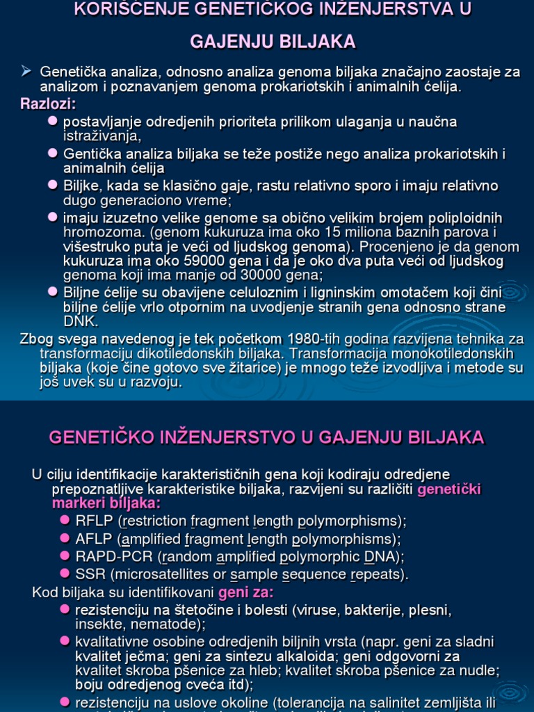 Geneticko Inzenjerstvo U Gajenju Biljaka | PDF