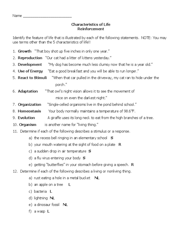 Characteristics of Life Worksheet Answers | PDF | Cats | Life
