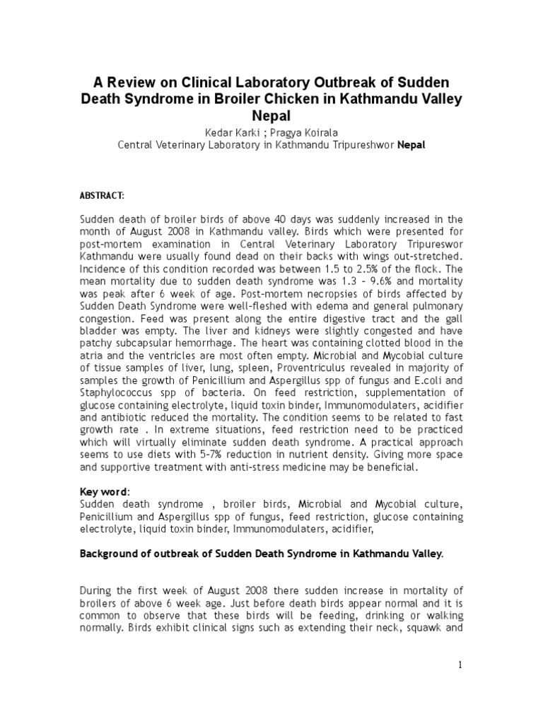 Sudden Death Syndrome in Broiler Chicken | Broiler | Cardiac Arrest
