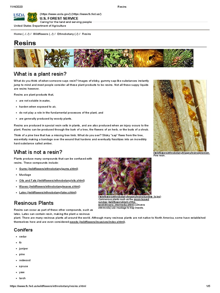 Resins: What Is A Plant Resin? | PDF