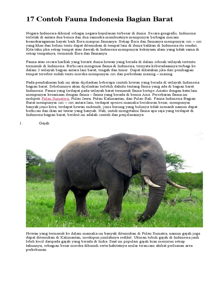17 Contoh Fauna Indonesia Bagian Barat | PDF