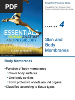 Chapter 4 Skin and Body Membranes | PDF | Skin | Epidermis