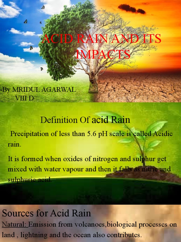 Impacts and Solutions of Acid Rain | PDF | Home & Garden | Science ...
