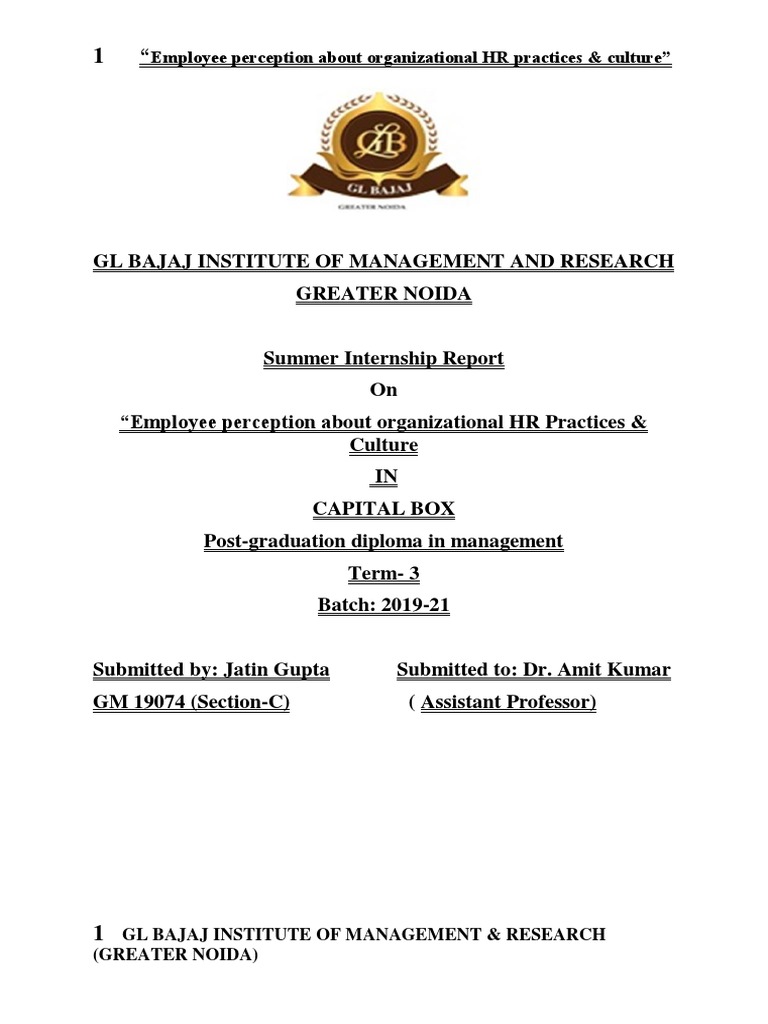 SIP Internship Report 1st Year (Batch 2019-21) | PDF | Organizational ...