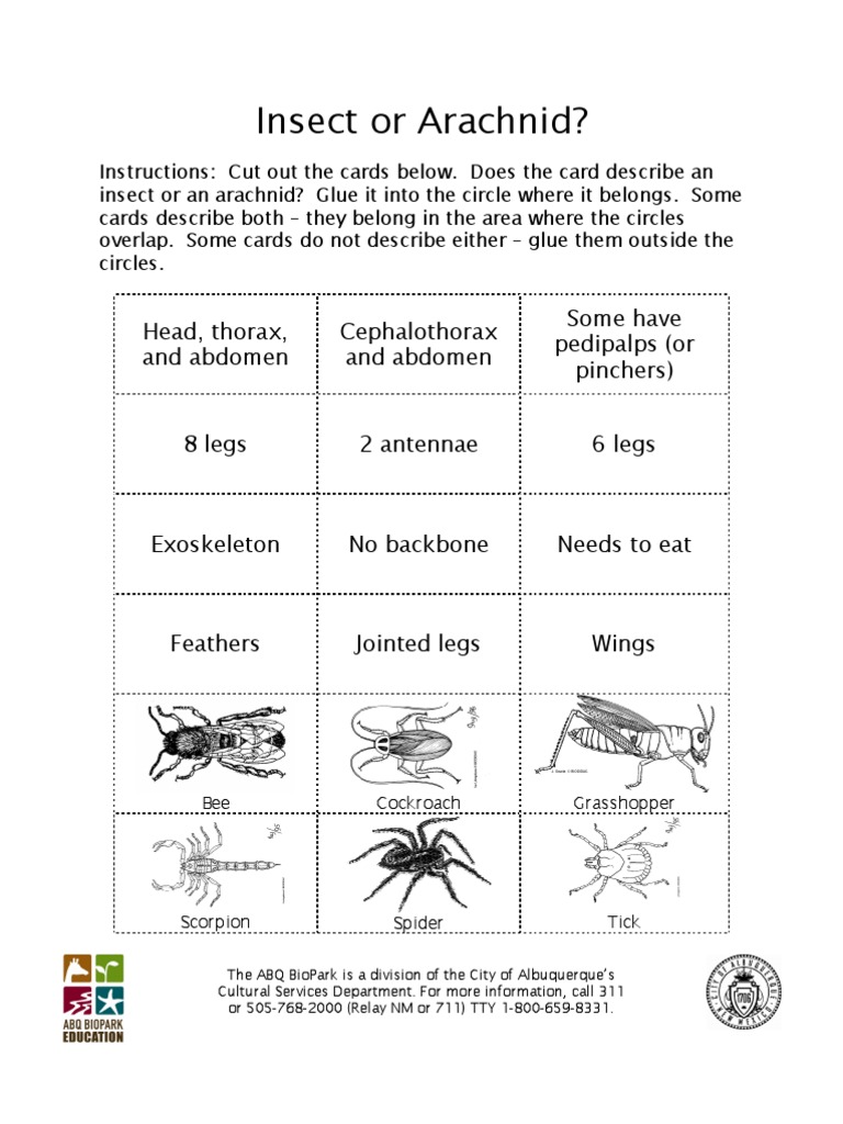 Insect vs Arachnid Classification Guide | PDF