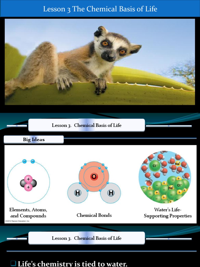 Chemical Basis of Life: Elements & Bonds | PDF | Chemical Bond | Ion