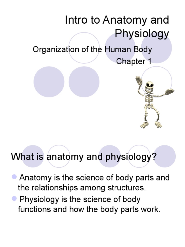 Intro To Anatomy and Physiology | PDF | Human Body | Organ (Anatomy)
