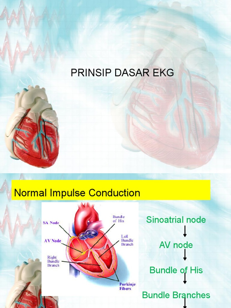 Prinsip Dasar & Interpretasi Ekg | PDF | Electrocardiography | Medical ...