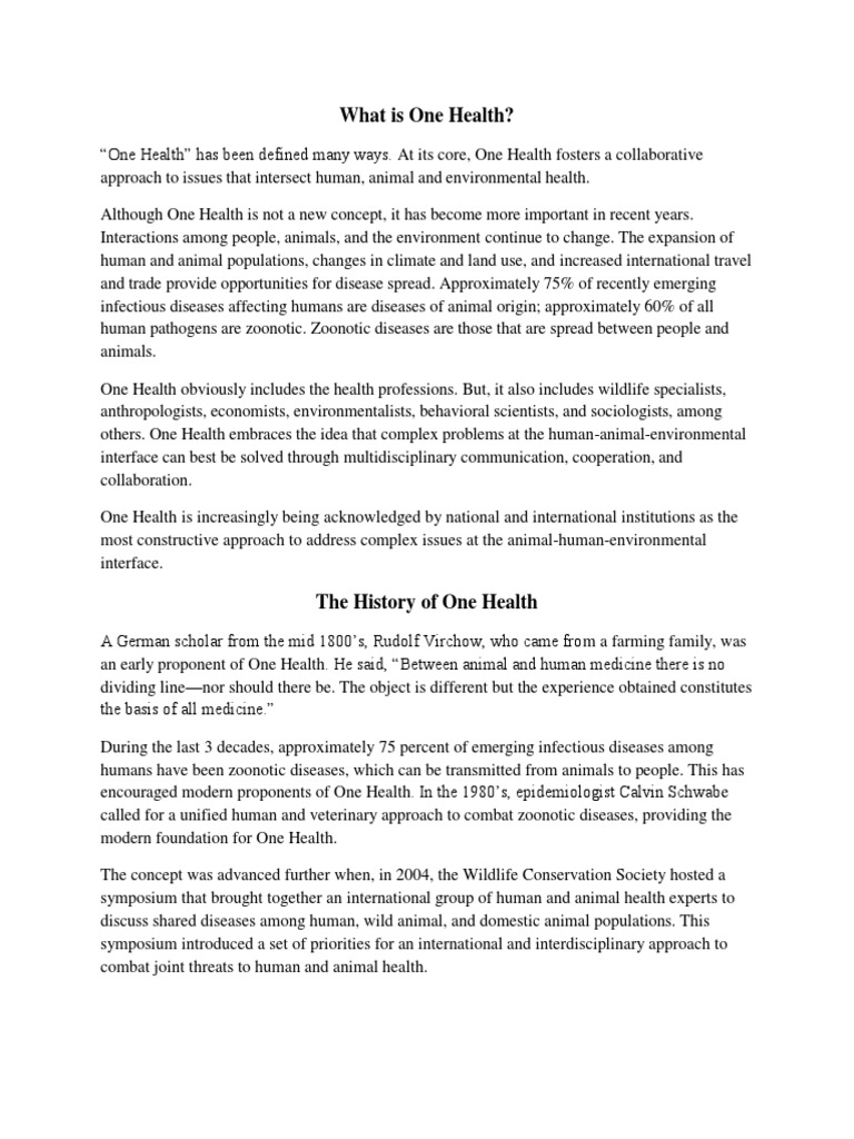 What Is One Health? | PDF | Influenza | Animals And Humans