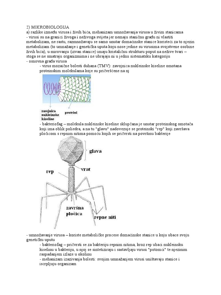 2 Mikrobiologija | PDF