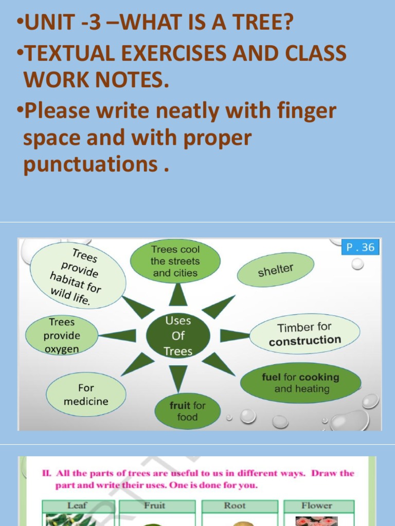 English - Unit.3-What Is A Tree | PDF | Forests | Nature