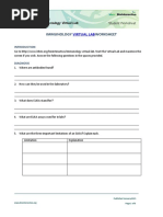 Immunology Virtual Lab Worksheet | PDF | Elisa | Antibody