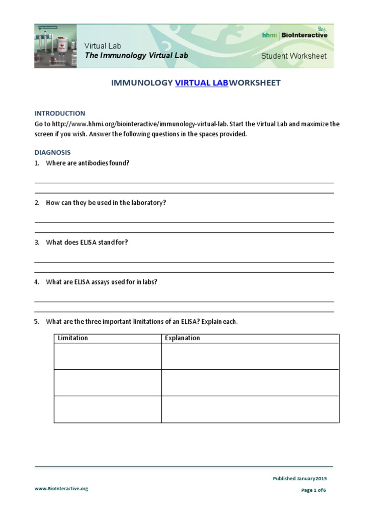 Immunology Virtual Lab Worksheet | PDF | Elisa | Diseases And Disorders