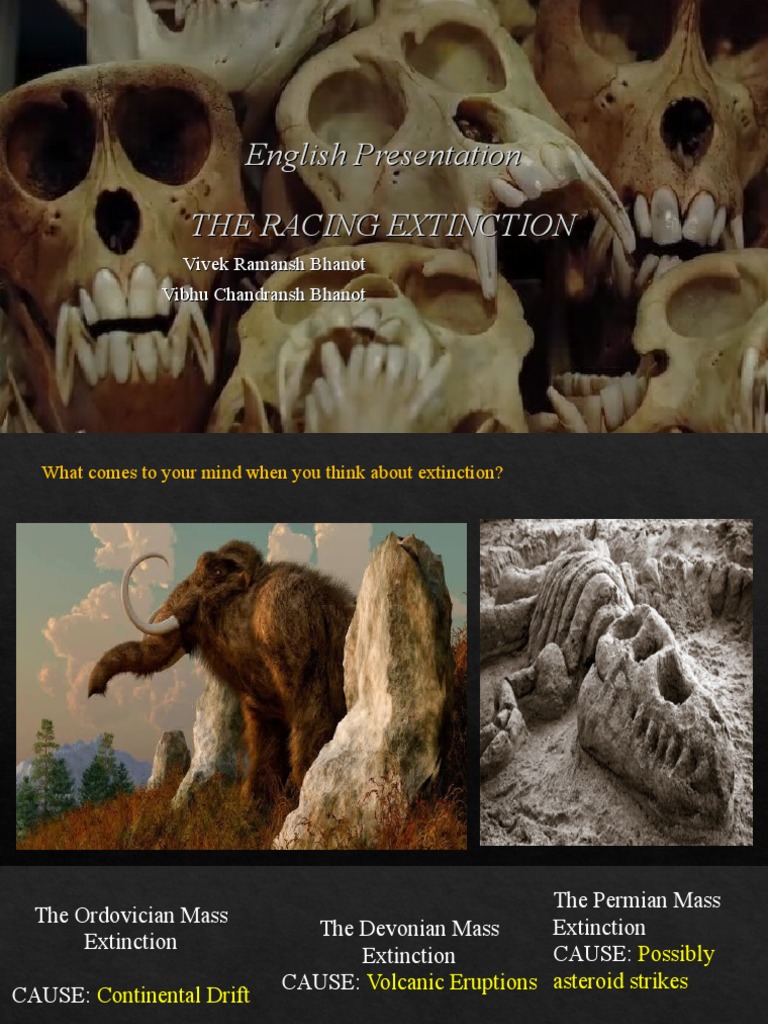 English Presentation The Racing Extinction English Presentation The ...