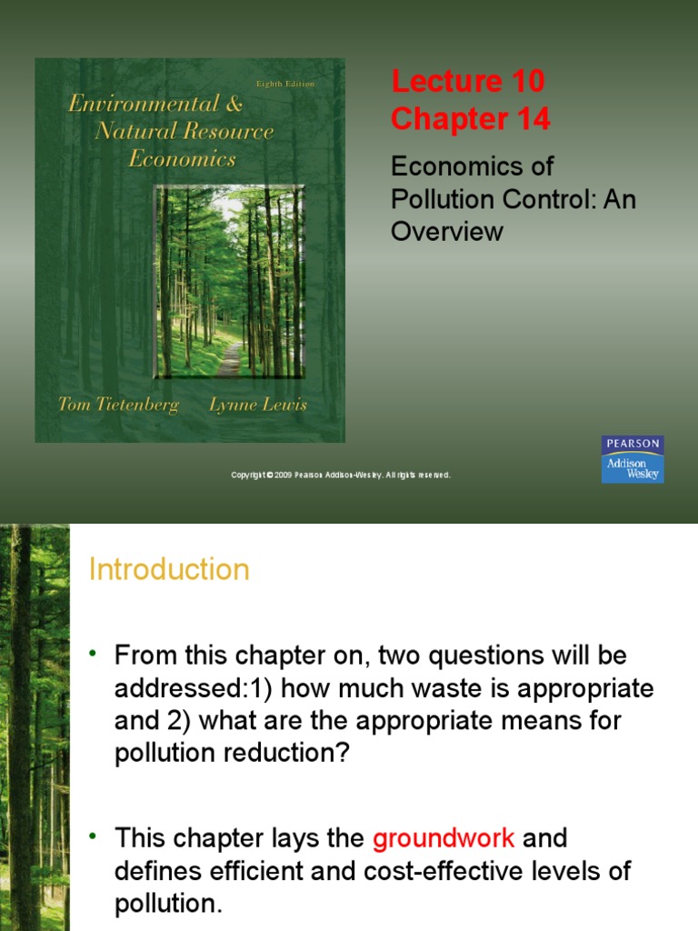 Lecture 10 On Pollution Control | PDF | Emissions Trading | Pollution